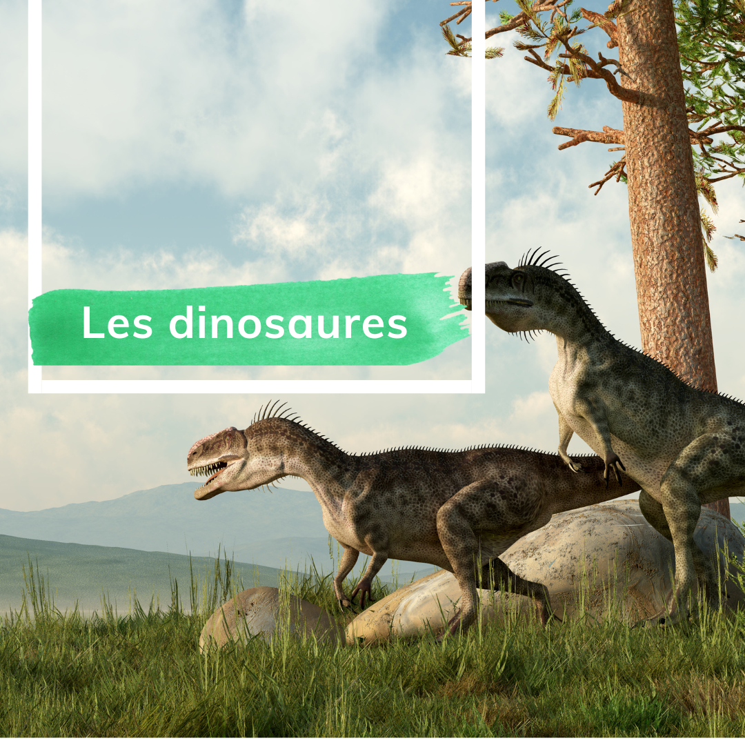 L.I.R.E. – Lecture interactive riche en expériences